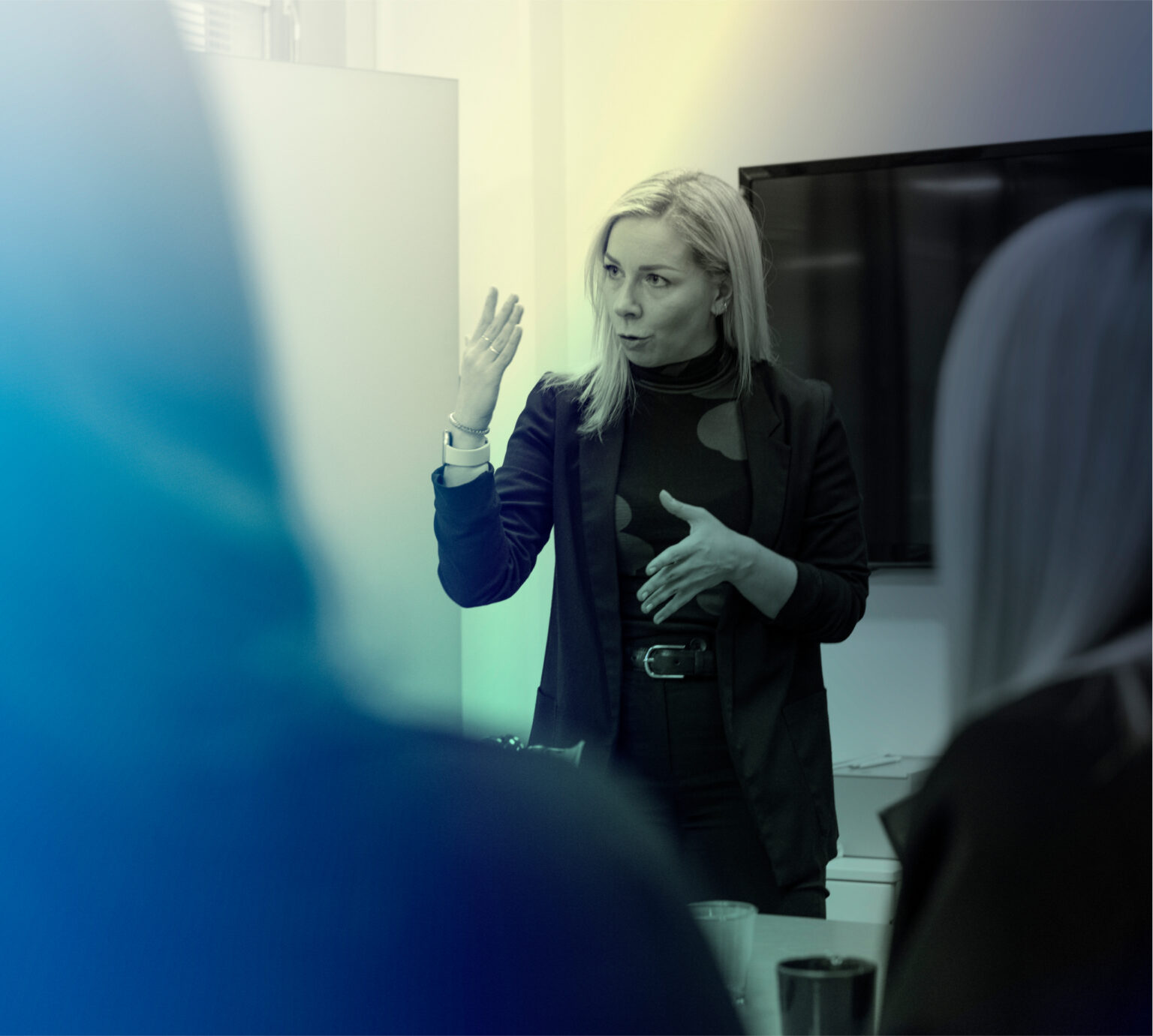 About us - Evitec Solutions