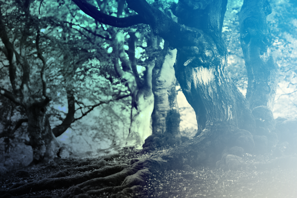 From compliance to competitive edge – enabling the green transition in ...